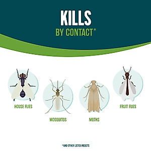 Ecologic Flying Insect Killer, Kills Fruit Flies, Mosquitos, Gnats and Other Insects, (Aerosol Spray) 14 fl Ounce