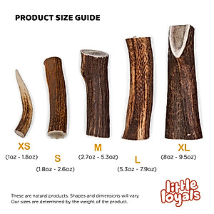 Little Loyals 100% Natural Grade A Premium Whole Deer Antler Chew for Dogs | Long-Lasting Dental Health Treat | Ideal for Aggressive Chewers Dog Breeds Small