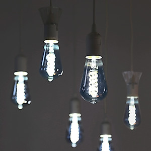 Austin Coast ST19/ST58 Vintage LED Edison Bulb,4.5W Daylight 5000K,Dimmable Flexible Spiral LED Filament Light Bulb with Smoky Grey Glass，4.5W Equivalent to 45W, E26 Base(4.5W-5000K-6 Pack)