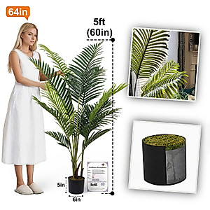 Aveyas 5ft Artificial Palm Tree for Home Decor, 5 Feet Faux Plant Fake Silk Tropical Kentia Areca Trees with Pot for Indoor Outdoor House Living Room Office Garden (5 ft Tall)