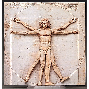 FREEing Table Museum The Vitruvian Man Figma Action Figure