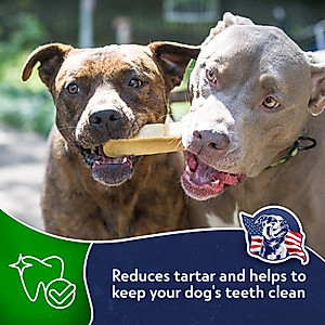 Devil Dog Pet Co Yak Cheese Himalayan Dog Chew - Premium Yak Chew - Heavy Duty All Natural Dog Treat for Teething Puppy and Aggressive Chewers - USA Veteran Owned Business (Large - 1 Pack)