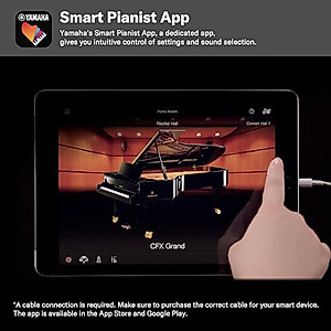 Yamaha, 88-Key Digital Pianos-Home (YDP165B)