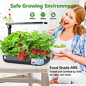 VegeBox Hydroponics Growing System - Support Indoor Grow, Herb Garden kit Indoor, Grow Smart for Plant, Built Your Indoor Garden (Small-Black)