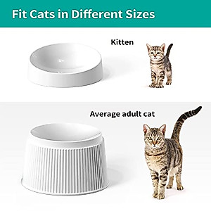 uahpet Elevated Cat Food Bowl Super Widen Raised Cat Food Dishes for Protecting Spine, Reliefing Whisker Fatigue, Anti-Vomiting 17° Tilted Pet Feeding Bowls with Silicone Mat for Indoor Cats