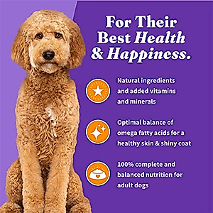 Halo Holistic Adult Dog Healthy Grains Cage-Free Chicken & Brown Rice Recipe Kibble 3.5 lb