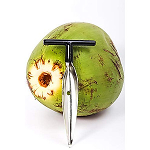 Ken's CocoMon Coconut Opener Tool + Stainless Straw for Fresh GREEN Young Fruit Black Rubber Handle EZ Easy Grip SAFE with Stainless Steel Drinking Straws (1 CocoMon + 1 Straw)
