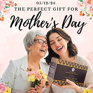 VEMACITY Martini Glasses Set of 4 with Gold Rims | Vintage Glassware with Gold Bar Spoon & Double-Sided Jigger | Champagne Coupe Cocktail Glasses | Cocktail Recipe e-Book (PDF) | Large Martini Glass