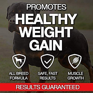 MVP K9 Formula Mass Weight Gainer for Dogs - Helps Promote Healthy Weight Gain, Size and Muscle in Dogs - Great for Skinny, Underweight, Picky Eaters. All Breed Formula, Made in USA (45 Servings)