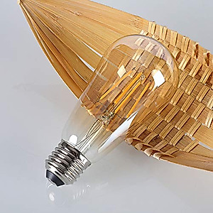 HESSION Vintage Edison LED Bulb, 6-Pack ST58 E26 Base 40 Watt Equivalent, Warm White 2200K-2700K, Antique Vintage Style Light, Squirrel Cage Filament Edison Light Bulbs Amber Glass, Dimmable