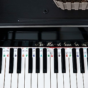 Piano Keyboard Stickers, 88 Full-Size Piano Rake Key Labels Overlay Removable for Beginners Kids (Colorful)
