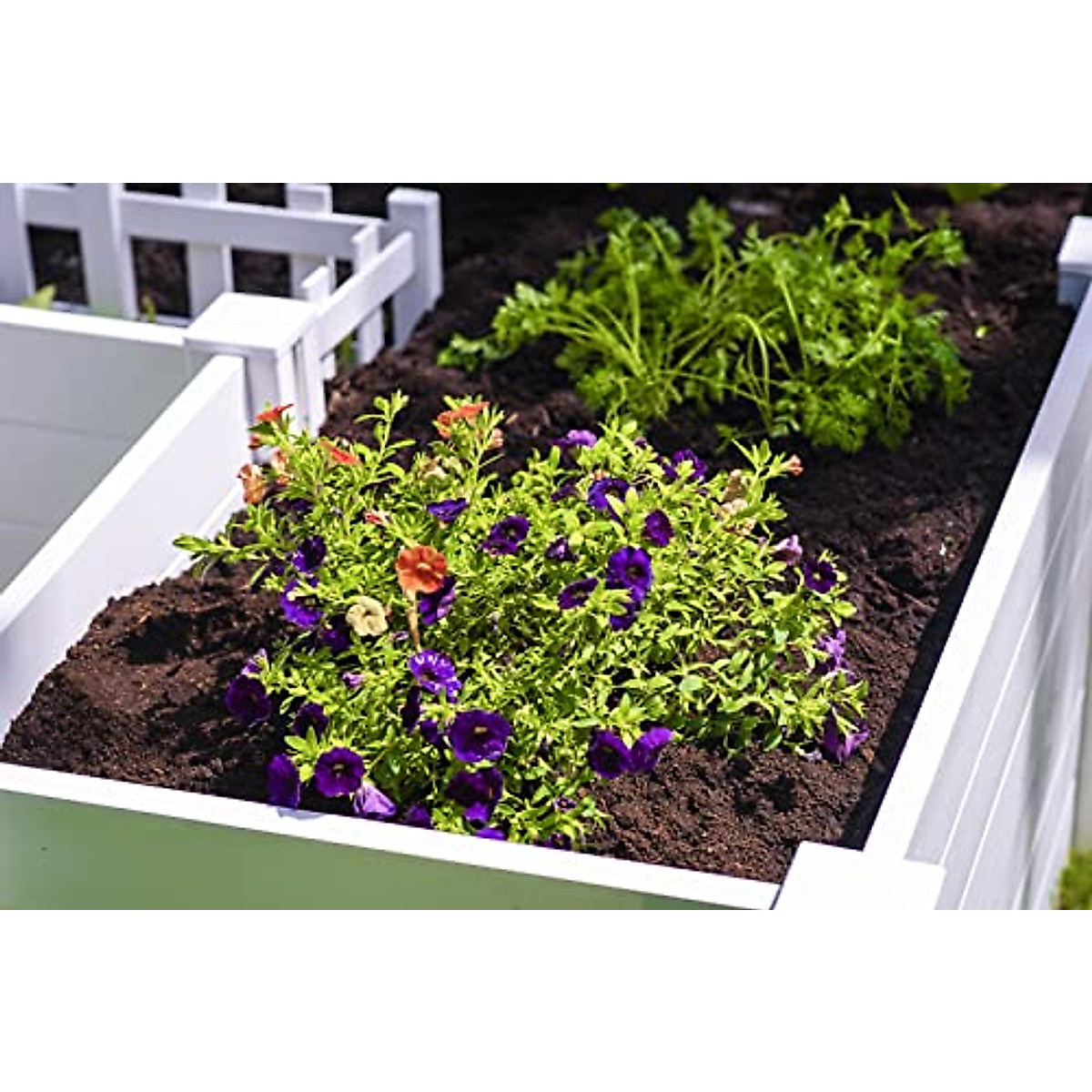 Vita Classic 6 Foot x 6 Foot x 22 inch White Vinyl Keyhole Garden with Composting Basket, BPA, Pthalate Free, VT17107