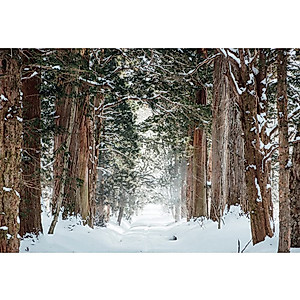 Yeele 5x3ft Forest Backdrop for Photo Props Winter Theme Snow Nature Landscape Vinyl Photography Background Snow Covered Road Background for Photo Props Holiday Supplies Wallpaper