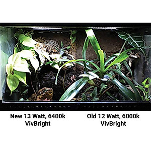 Pangea Vivbright Max Plant Growth Reptile & Amphibian LED Bulb, White
