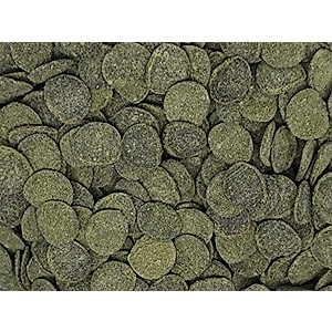 Invert Aquatics Mini Algae Discs - Sinking Diet for Snails, Shrimp & Bottom Feeding Fish (3 oz (85g))
