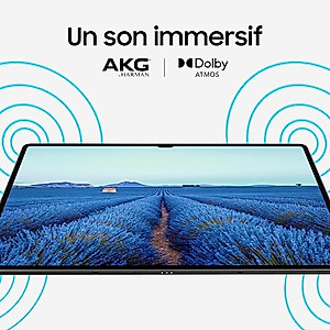 SAMSUNG Galaxy Tab S9 Ultra WiFi ONLY Factory Unlocked Tablet SM-X910NZA 14.6 Inch, Android Including S Pen US Version 2023 (Grey, 12GB+256GB),(SM-X910NZAAEUB)