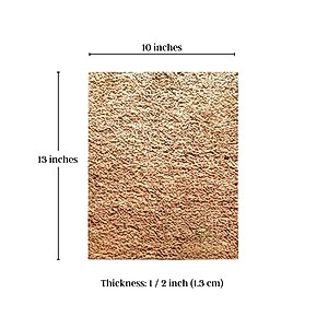 SunGrow Coco Fiber Hermit Crab & Reptile Carpet, Gecko Terrarium Liner, and Floor Bedding Substrate & Supplies, Climbing Wall Carpet & Mat for Hermit Crabs, 10" x 13", 1 Piece Per Pack