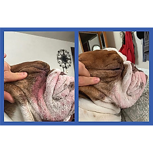 Squishface Wrinkle Paste - Bulldog, French Bulldog, Pug, English Bulldog – Cleans Wrinkles, Tear Stain, Tail Pockets, and Paws – Anti-Itch Tear Stain Remover & Bulldog Wrinkle Cream, 2 Oz.