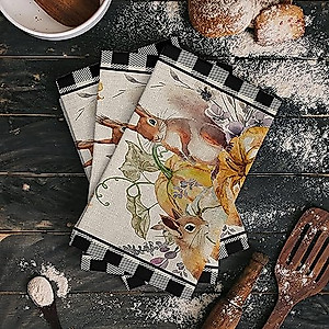 Kitchen Towel Thanksgiving Pumpkin Maple Leaves Squirrel Dish Cloths 1 Pack 18x28in,Super Absorbent Hand Towels Bathroom Cleaning Cloth Black Buffalo Plaid on Linen Soft Dishcloth for Drying Dishes