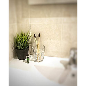 Vegan Biodegradable Bamboo Charcoal Dental Floss with Refillable Glass Container | Free Refill | Natural Candelilla Wax | 33yds x2 | Peppermint Essential Oil | Eco Friendly Zero Waste Oral Care