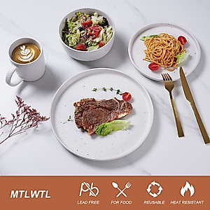 MTLWTL Dinnerware Sets, Dish Set for 4, 16 pieces Ceramic Plates and Bowls Set with Mugs, Microwave, Oven & Dishwasher Safe, White Speckled