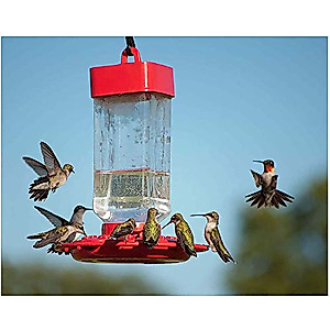 Kaytee Hummingbird Electro Nectar Ready to Use, 64oz (2 case(64oz))