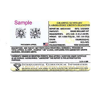 IGI Certified 2 Carat D-E Color Lab Grown Diamond Stud Earrings for Women I 14k White Gold Earrings I Secure Screw Back Earrings Made in USA by Beverly Hills Jewelers