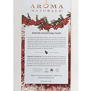 Aroma Naturals Holiday Orange, Clove and Cinnamon Essential Oil Scented Pillar Candle, Warm Spice, 3 inch x 3.5 inch