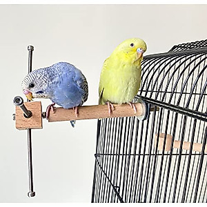 Guanlant Bird Food Holder for Cage, Bird Feeders Stand, Rotating Bird Toys with Perch, Parrot Fruits and Veggies Holder, Birds Foraging Toy, Bird Treat Sticks for Cockatiel Parakeet Conure Eclectus