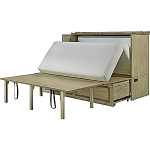 Mega Solutions Venetian Murphy Cabinet Bed with Deepest Storage Drawer On The Market and USB Charging Station (Queen, Antique Oak)