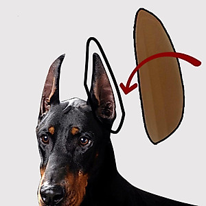 Puppy Ear Sticker Fixed Support German Puppy Ear Raise Tool, 10x5cm