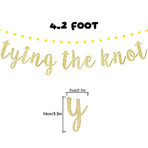 LINGTEER Tying the Knot Gold Glitter Bunting Banner Perfect for Wedding Bridal Shower Party Decorations.