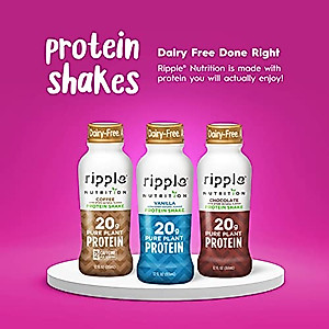 Ripple Vegan Protein Shake | Chocolate | 20g Nutritious Plant Based Pea Protein | Shelf Stable | No GMOs, Soy, Nut, Gluten, Lactose | 12 Oz, 12 Pack