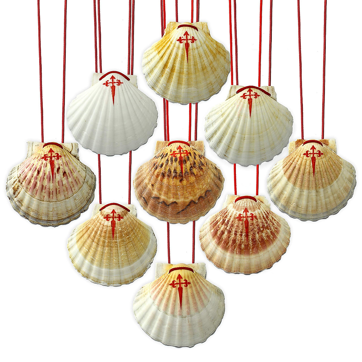 JB Scallop Shell Way of St. James