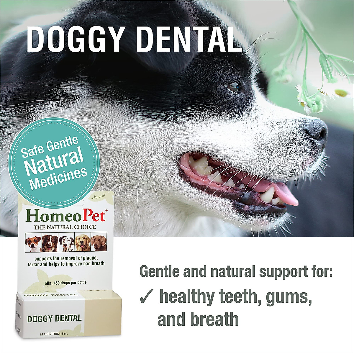 HomeoPet Doggy Dental, Dental Care for Dogs, 15 Milliliters