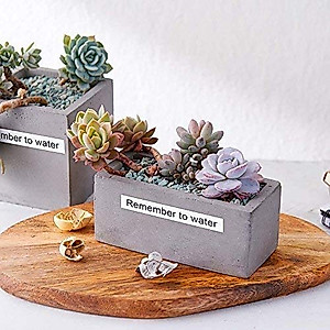 MarkDomain Compatible TZe-251 24mm Label Tape Replacement for Brother Ptouch TZe251 TZ251 TZe TZ Tape 24mm 0.94 Laminated White Tape for Brother PTD600 PT-P700 PT-P710BT PT2730 Label Maker, 3-Pack