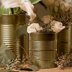 Rust-Oleum 1910830 Specialty Metallic Leafing Spray Paint, 11 Ounce (Pack of 1), Gold