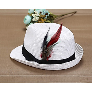 FALETO Hat Feathers 12 Pcs Assorted Natural Feather Packs Accessories for Hats & Fedoras