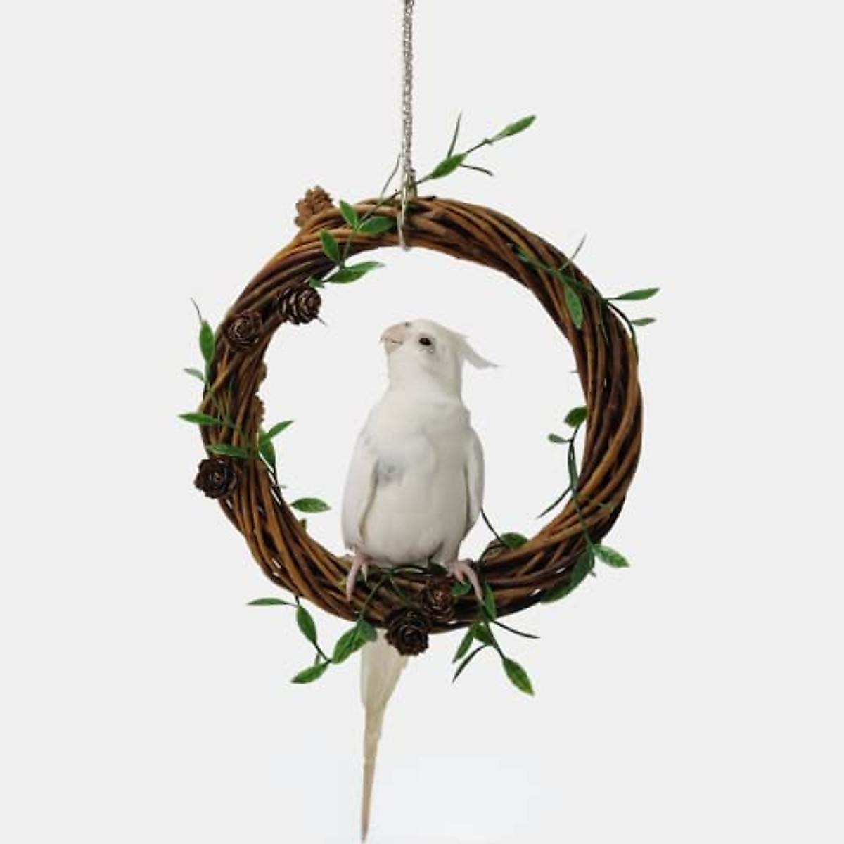 Round Bird Swing, Natural Willow Branch Chewing Bird Toys, Hanging Climbing Cage Parrot Perch Play Stands for Small Parrots Lovebirds Conures Parakeets (Large)