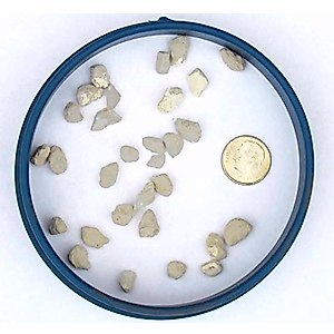 Bonsai Jack 1/4 inch Horticultural Pumice Soil Amendment for Cactus and Bonsai (2 Dry Quarts)