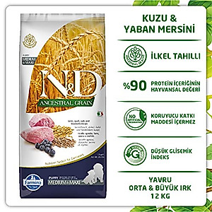 Farmina Lamb and Ancient Grains Medium/Maxi Breed Adult Dry Dog Food, 26.4 Pounds