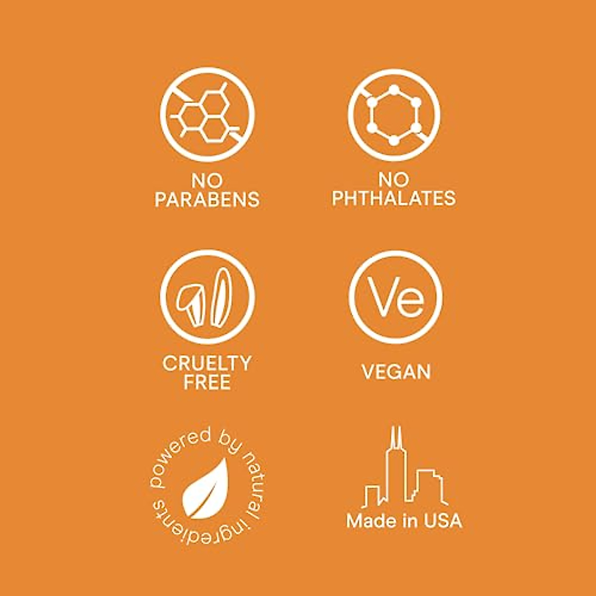 Baebody Made in USA Vitamin C Face Serum - Vitamin C Serum for Dark Spots & Dull Skin - Day & Night Vitamin C Serum for Face - Vit C Serum Hyaluronic Acid & Vitamin E, 1 fl oz/30 ml