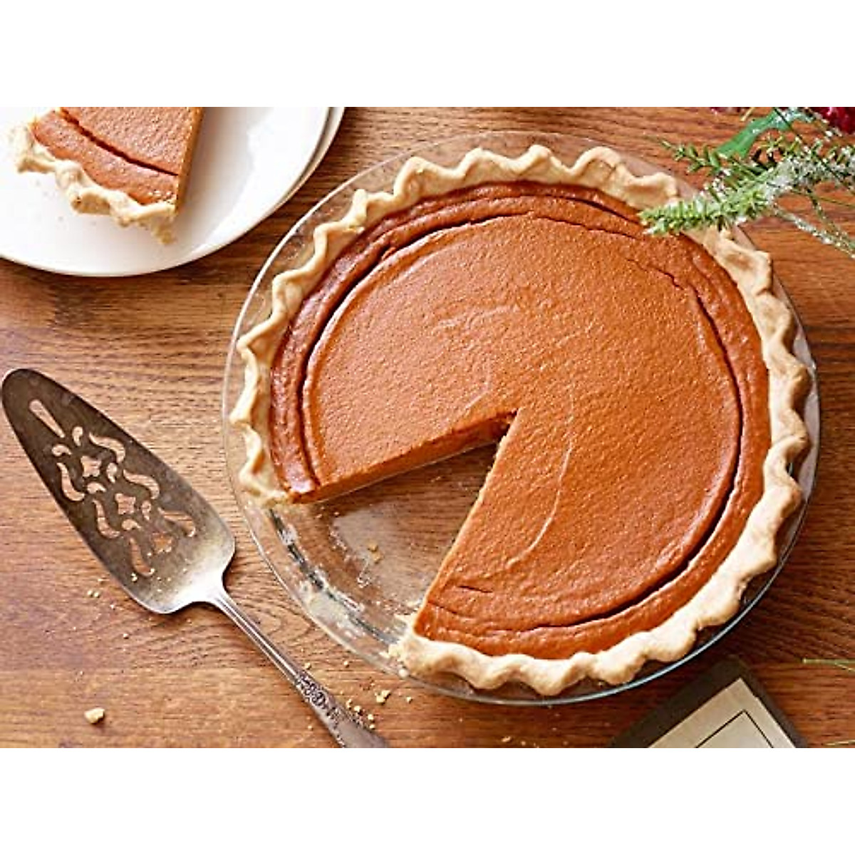 TomorrowSeeds - Jumbo Pink Banana Squash Seeds - 40+ Count Packet - Georgia Candy Roaster Big Sweet Butternut Pumpkin Winter Garden