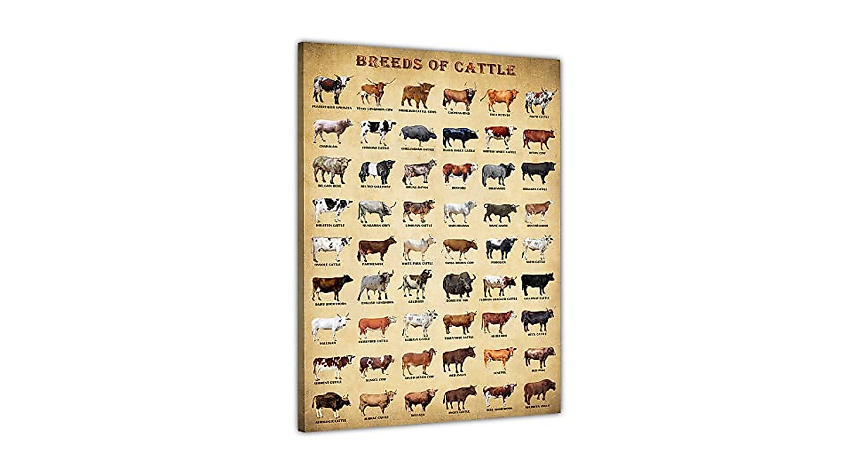 BASYEEO Breeds of Cattle Poster - Farmhouse Wall Art 12x18