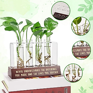 WelDesine Goodbye Gifts for Coworkers Leaving Gifts for Women, Planter Terrariums, Farewell Gifts for Friends, Going Away Gift for Boss Leaving Job, Retirement New Job Gifts for Men on Desk, SPJ001