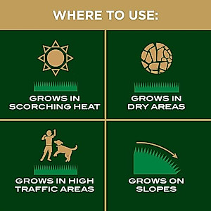 Scotts 17590 EZ Bermuda Grass Lawns Seed (4 Pack), 10 lb