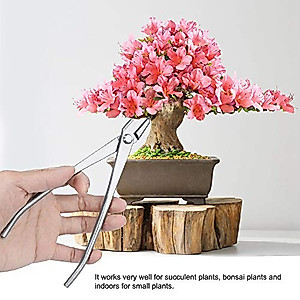 Demeras Knob Cutter Ergonomic Handle Bonsai Tools Gardening Supplies Garden for Home