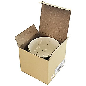 Studio Ghibli - My Neighbor Totoro - Sakura/Cherry Blossom, Skater Traditional Japanese Porcelain Dish Series - Teacup