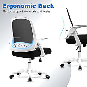 Devoko Office Chair Mesh Desk Chair Ergonomic Office Chair with Lumbar Support Swivel Computer Task Chair with Flip-up Arms Adjustable Height (White)