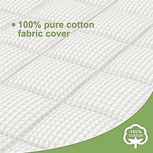 pareler bear Teenager 8 inch Queen Mattress, Edge Hardening to Prevent Slipping, Medium Firm Hybrid Mattress, Pocket Innerspring for Motion Isolation, 100% Pure Cotton Fabric Cover